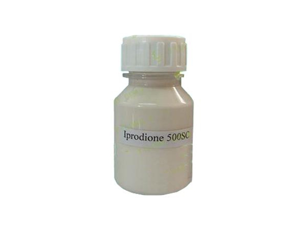 Iprodione | fongicides de biocontrôle