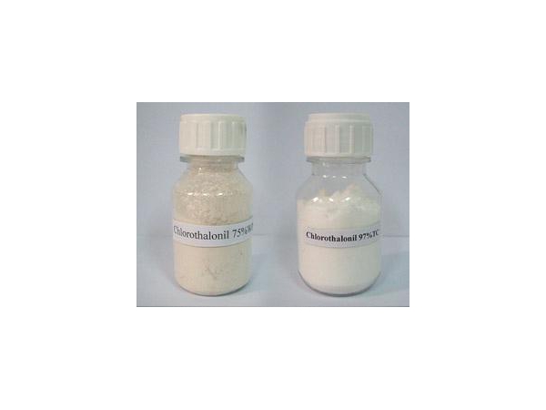 Chlorothalonil | Lutte contre la septoriose